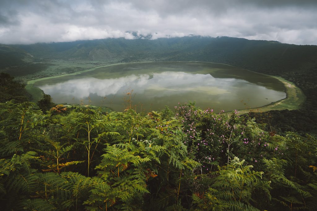 The History Of The Ngorongoro Conservation Area | Tanzania