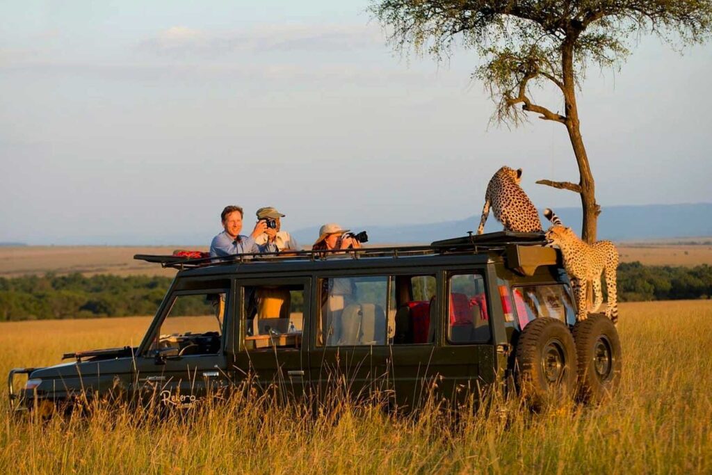Game drives in Serengeti National Park | Tanzania Safaris